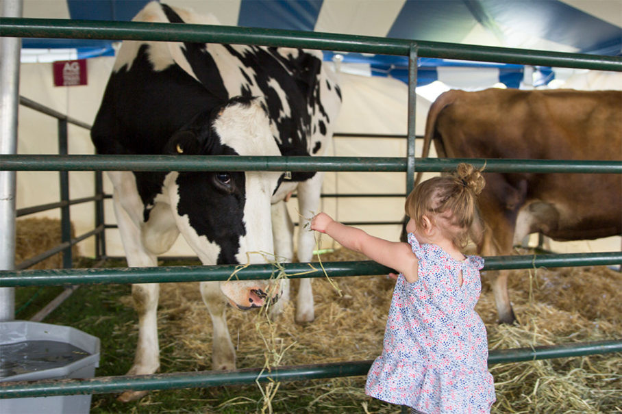 185th Fergus Fall Fair - Fergus/Elora - Grand and Gorgeous