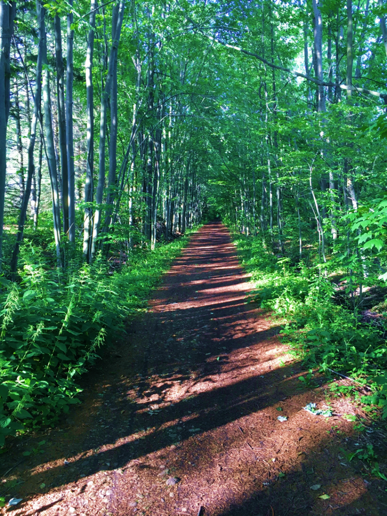 Elora Cataract Trailway: The Trail that Leads Everywhere - Grand & Gorgeous
